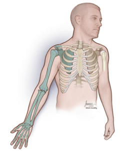 Supraclavicular Block Technique/Spinal of the Arm